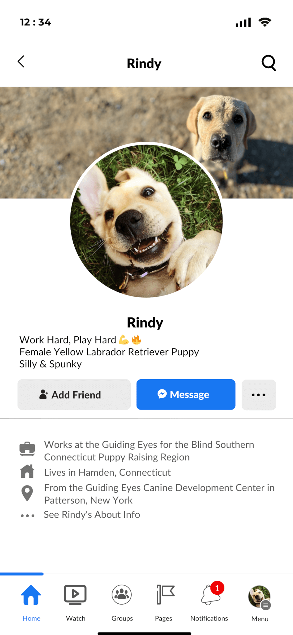 Celebrate National Puppy Day 2024! - Guiding Eyes for the Blind