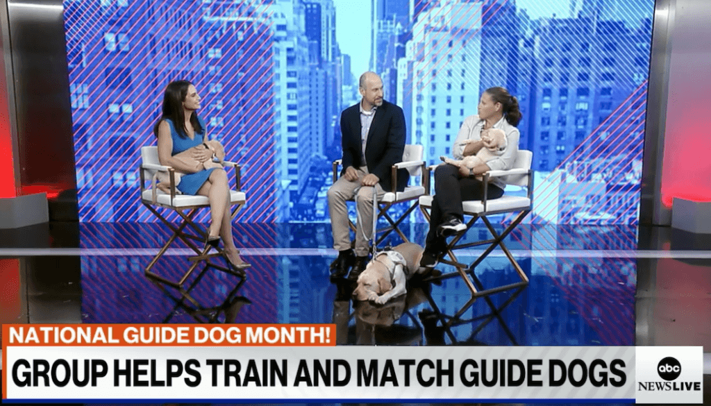 Celebrating National Dog Day & Guide Dog Month - Guiding Eyes for the Blind