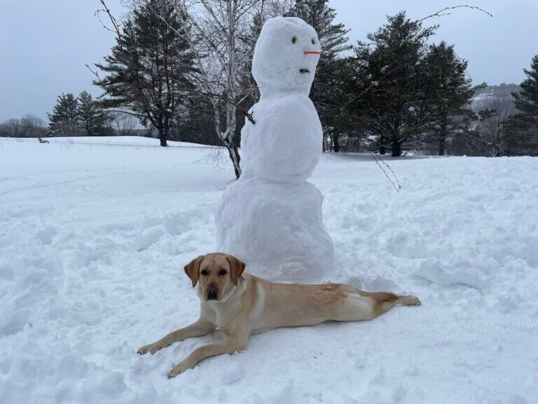Lora Ann and Ruth - Guiding Eyes for the Blind