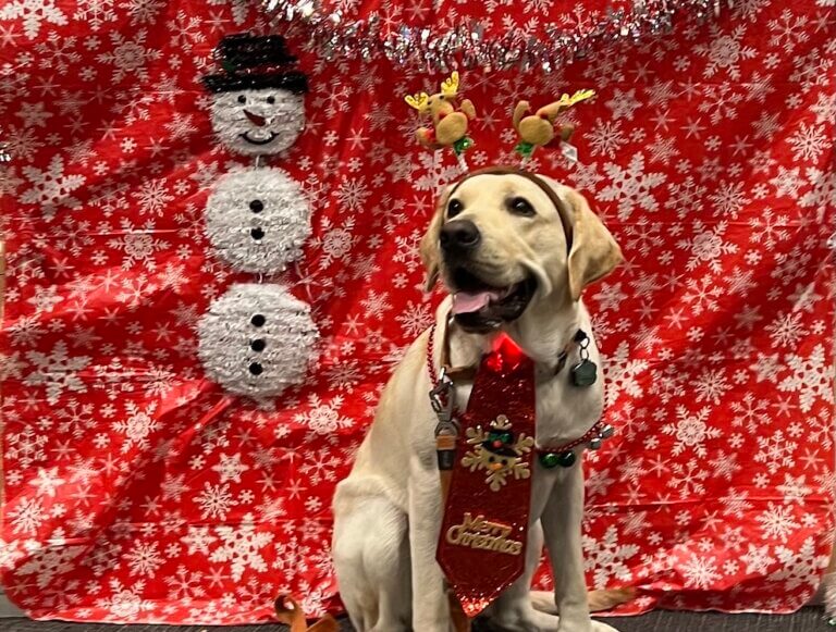 Deborah and Keeper - Guiding Eyes for the Blind