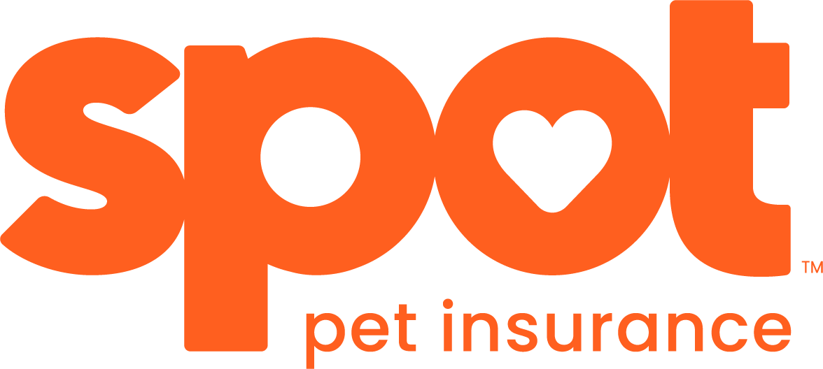 Keeping a Guide Dog Healthy: Essential Care and Preventive Tips ...