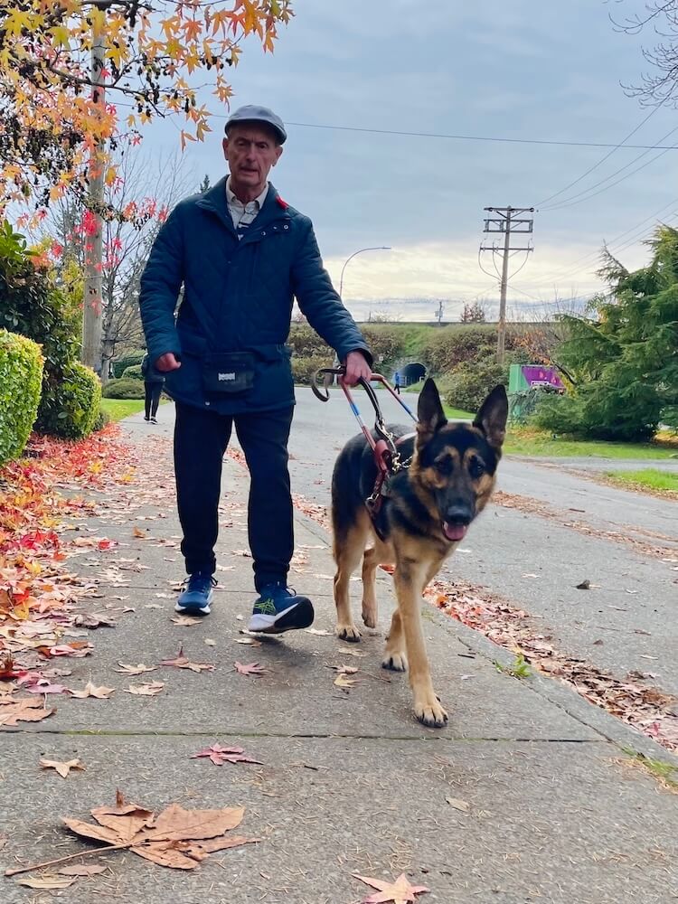 Graeme and Steinway - Guiding Eyes for the Blind